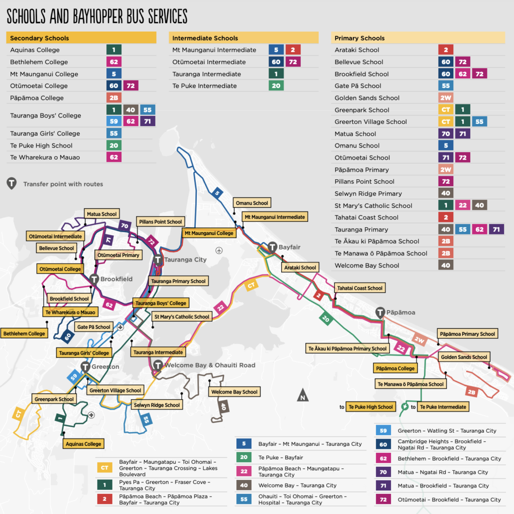 2024 Public Buses - Mount Maunganui Intermediate